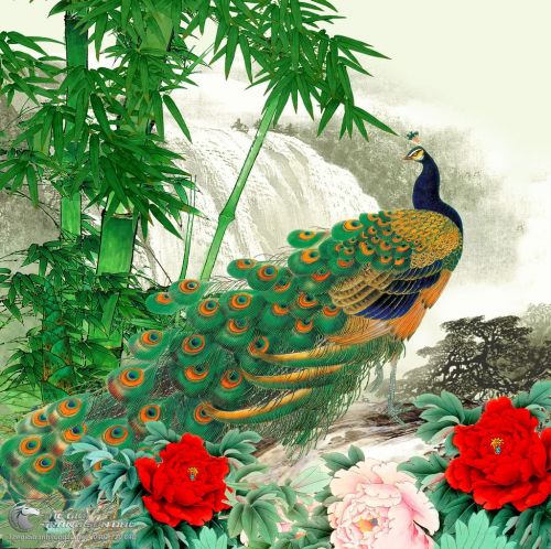 Tranh hoa điểu và ý nghĩa trong phong thủy, cách sử dụng